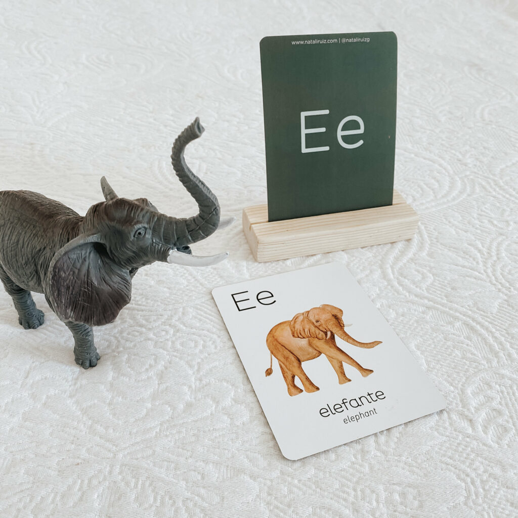 Flashcards Acuarela Abecedario bilingüe Natalí Ruíz